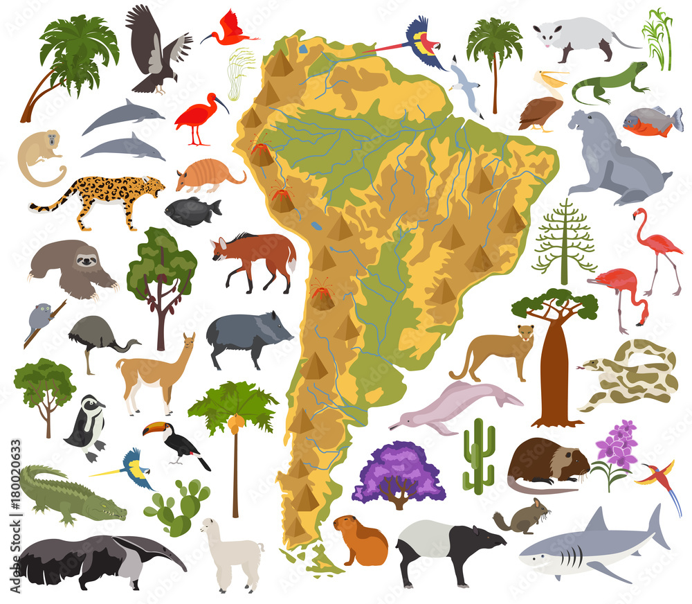 South America flora and fauna map, flat elements. Animals, birds and ...