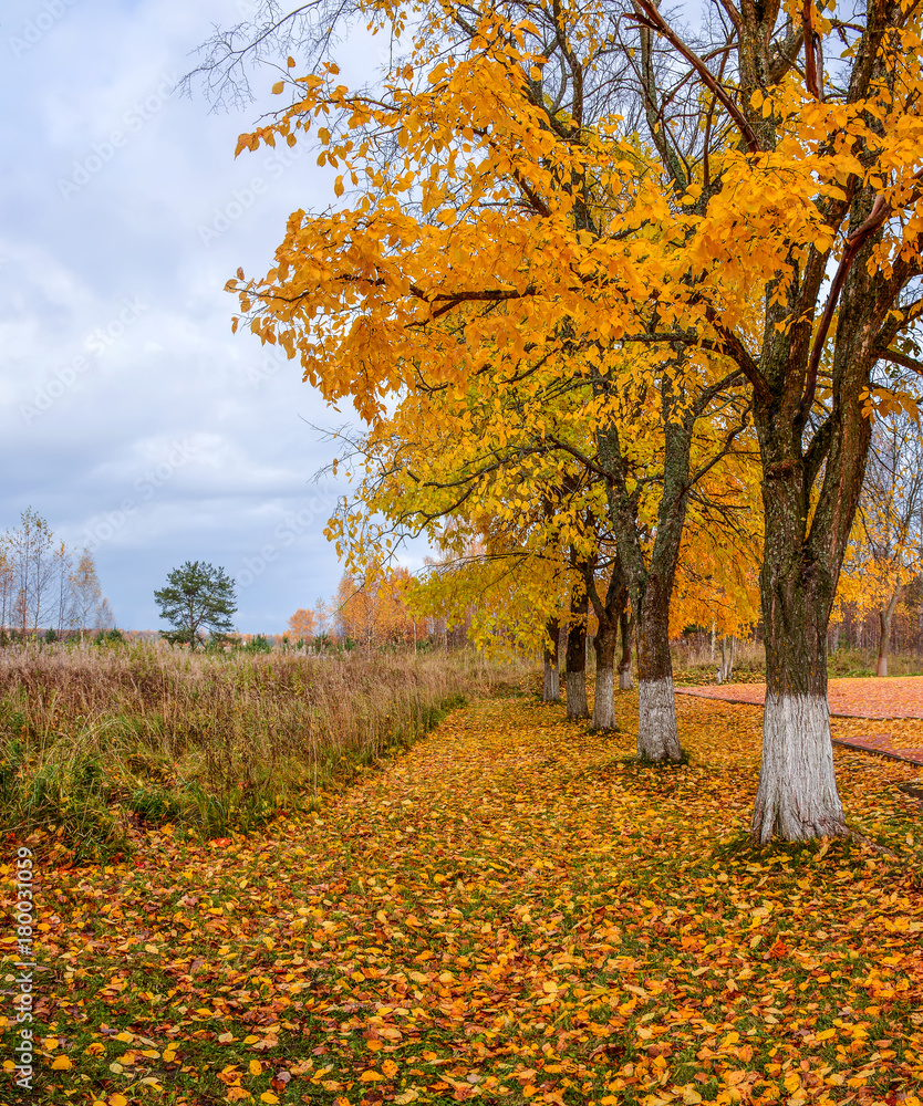 Windy Fall Day