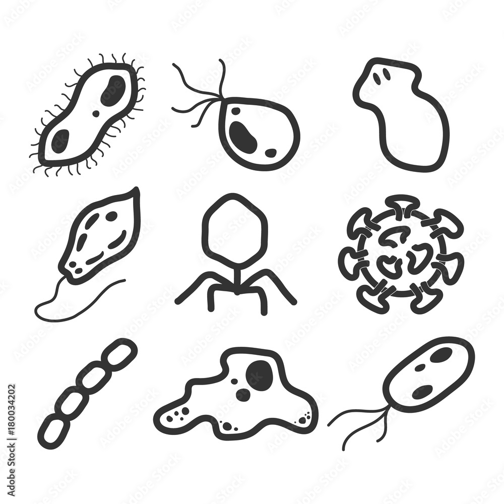 Protozoa Drawing