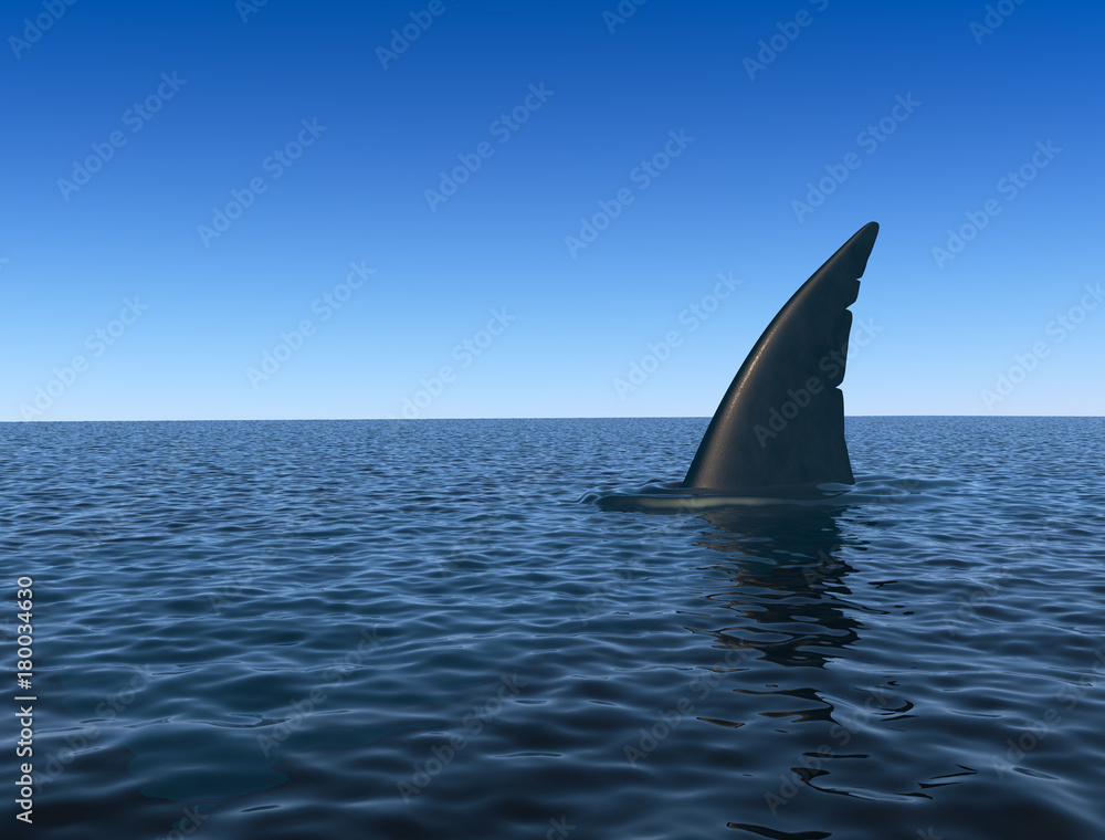 Shark fin over sea water surface Stock Illustration | Adobe Stock