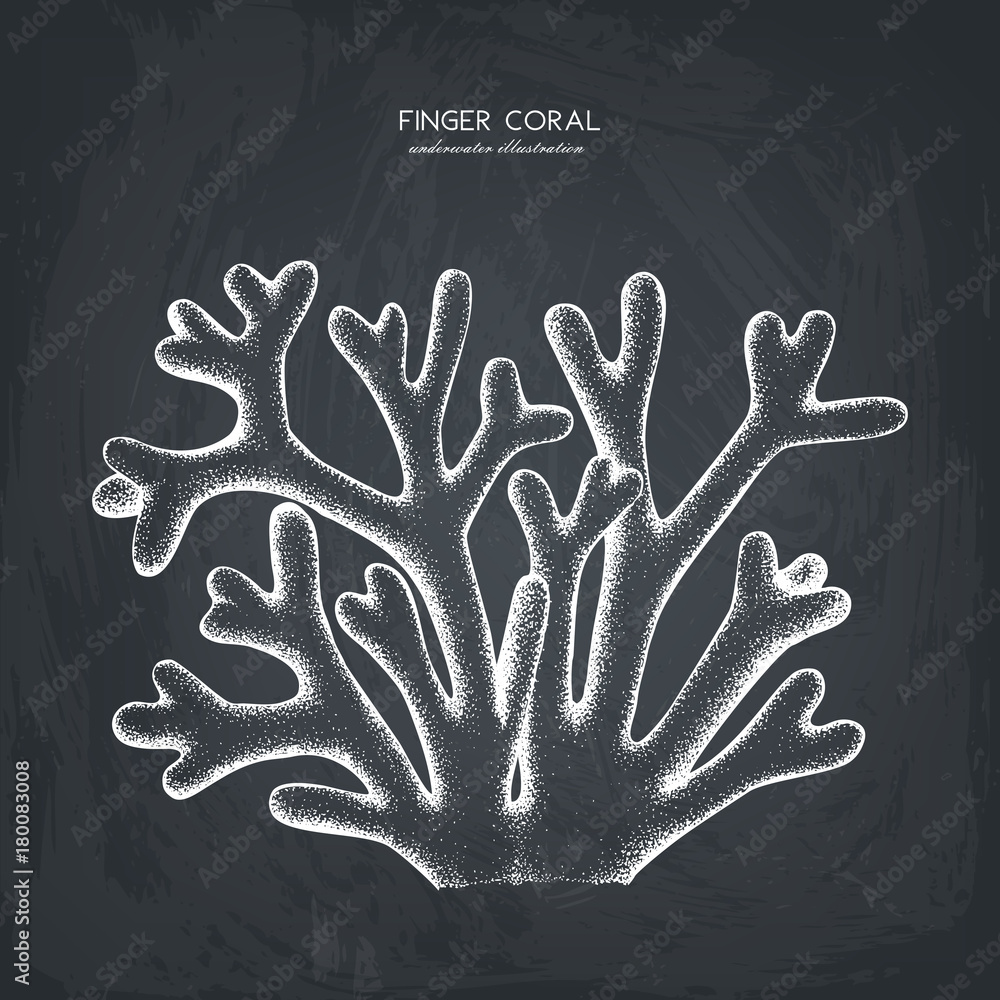Vector illustration of hand drawn reef coral. Vintage set underwater ...