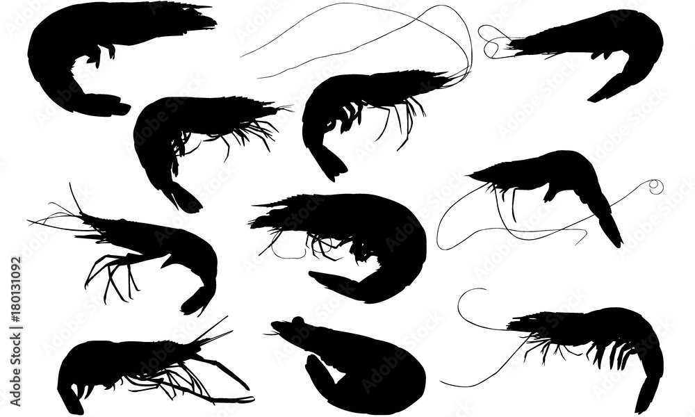 Shrimp Silhouette Vector Graphics Stock Vector | Adobe Stock