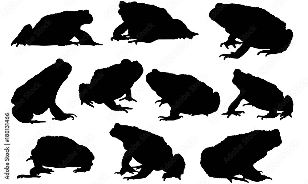 Toad Silhouette Vector Graphics Stock Vector | Adobe Stock
