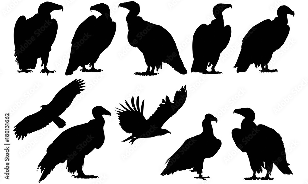 Vulture Silhouette Vector Graphics Stock Vector | Adobe Stock