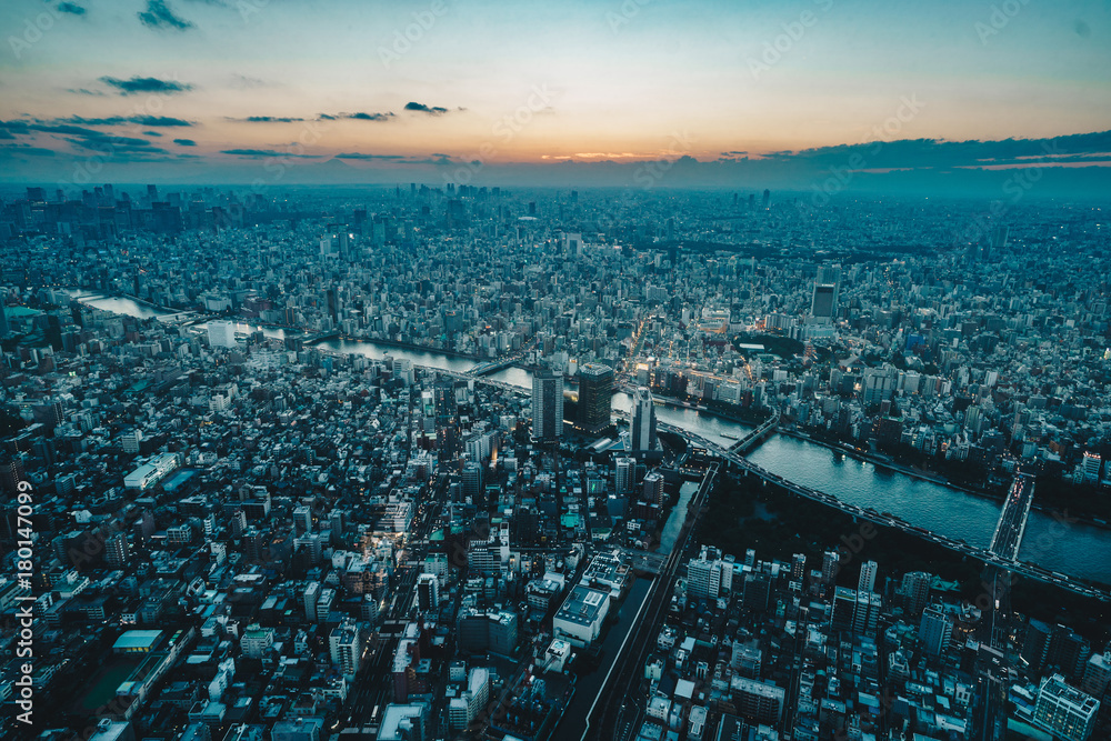 Tokyo city skyline as seen from above at sunset Stock Photo | Adobe Stock