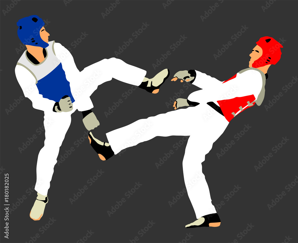 Fight between two taekwondo fighters vector illustration isolated ...