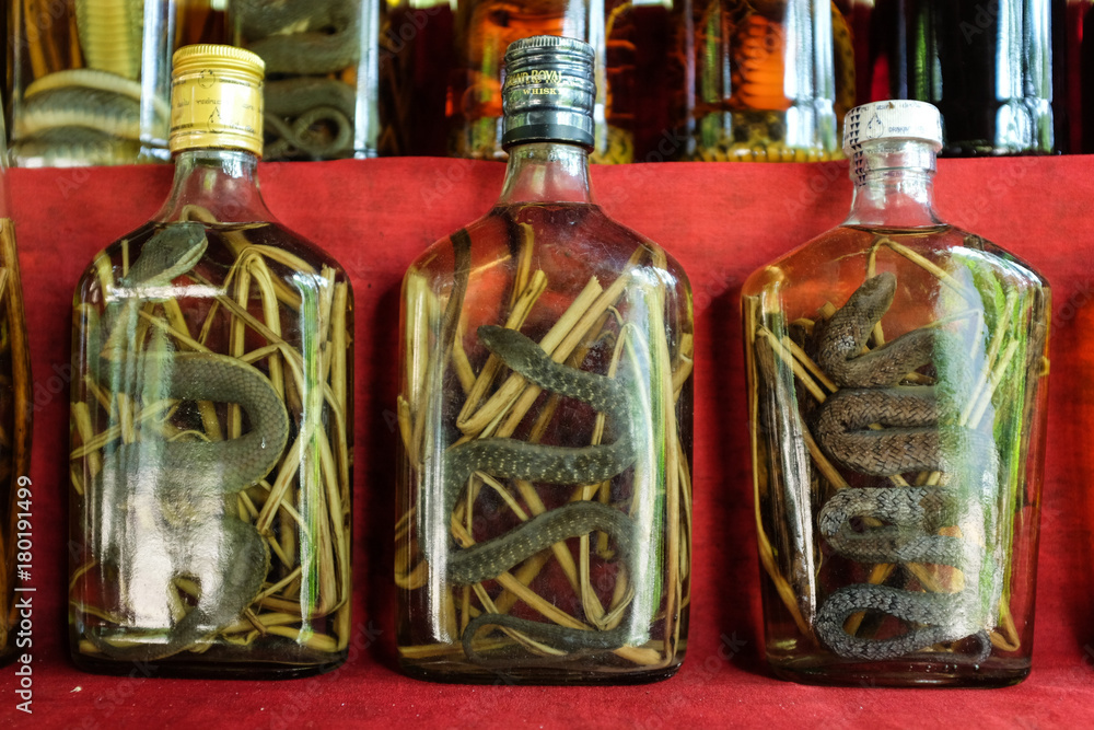 Snake Ferment Whiskey at a a Whiskey Village, Ban Xang Ha, Luang ...