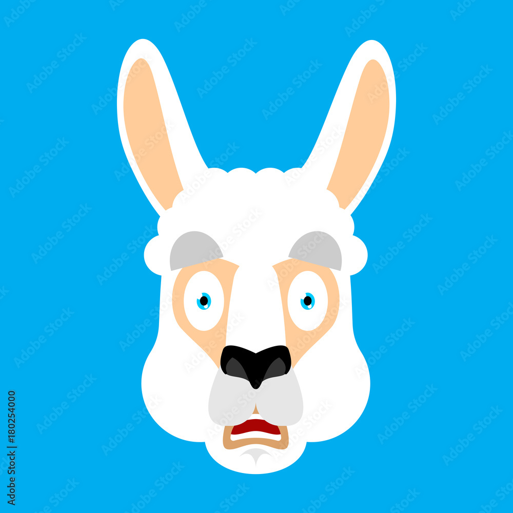 Omg Animal Face