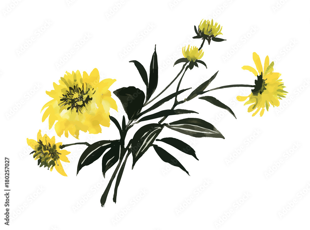 Hand drawn yellow flowers with green leaves isolated on white ...
