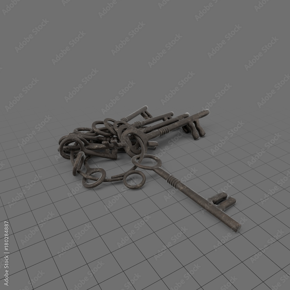 Skeleton keys Stock 3D asset | Adobe Stock
