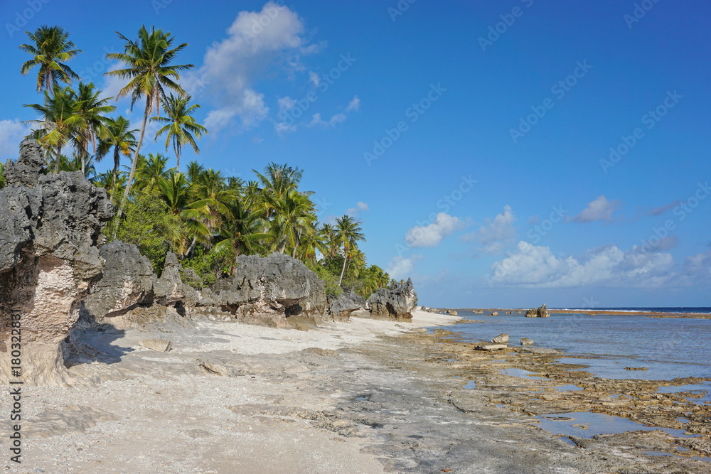 Rock formation on the seashore of the atoll of Tikehau, Tuamotus ...