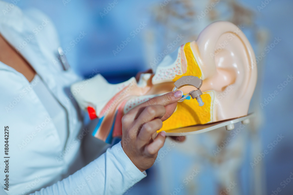 Medical doctor woman teaching anatomy using ear model and hearing aid ...