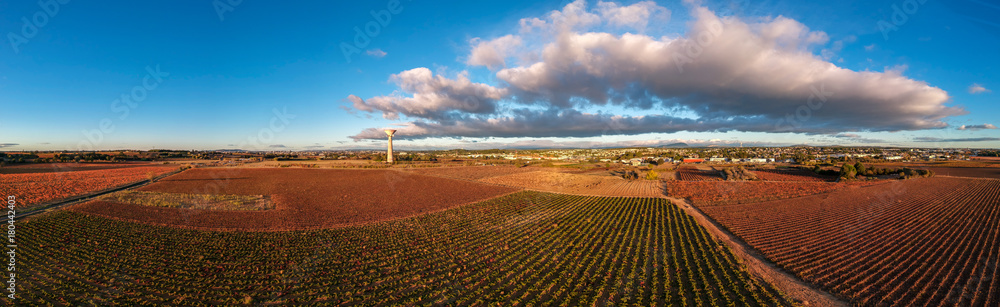 vue aérienne et panorama sur un paysage de champs agricole et de vignes ...