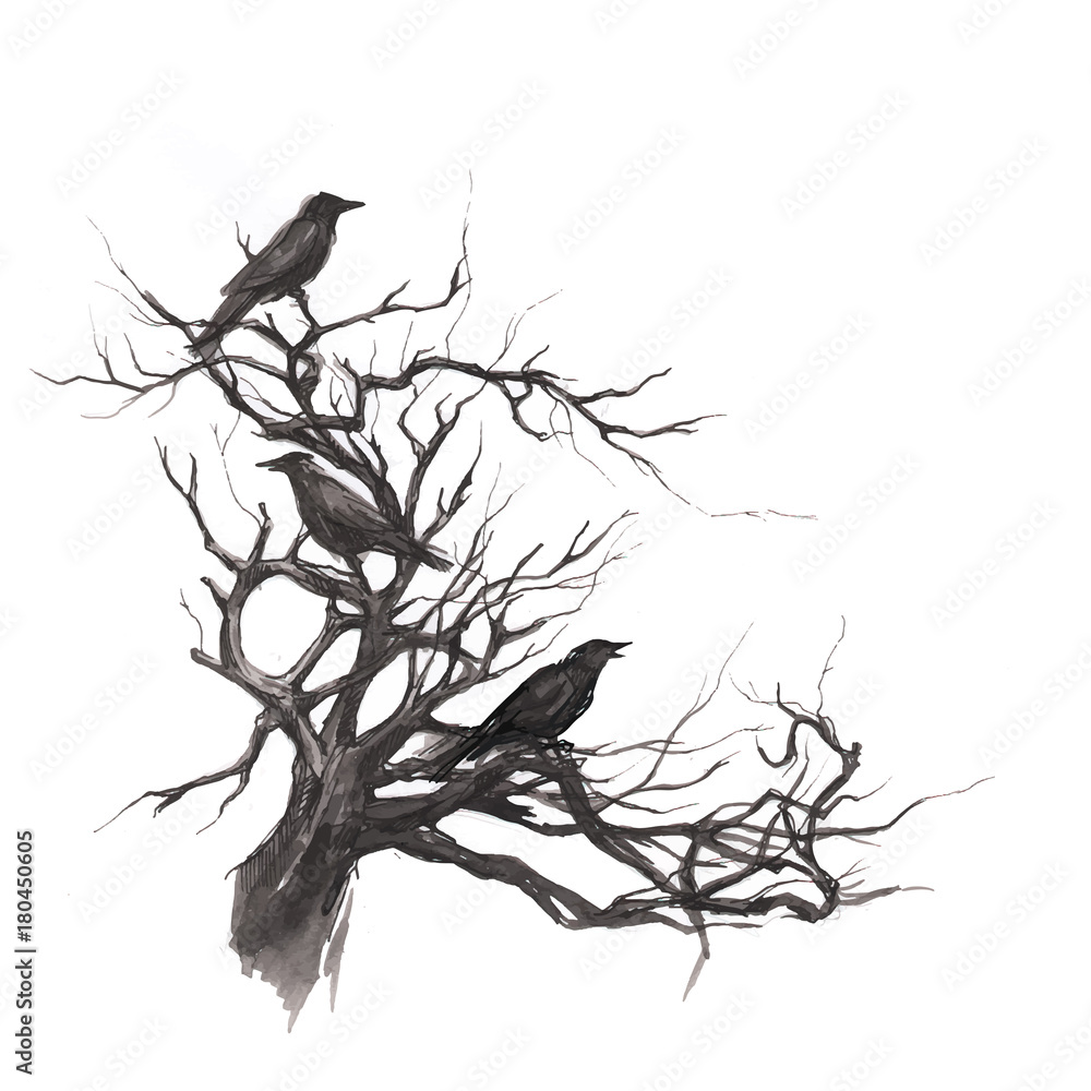 Monochrome hand drawn watercolor ink illustration with tree branches ...