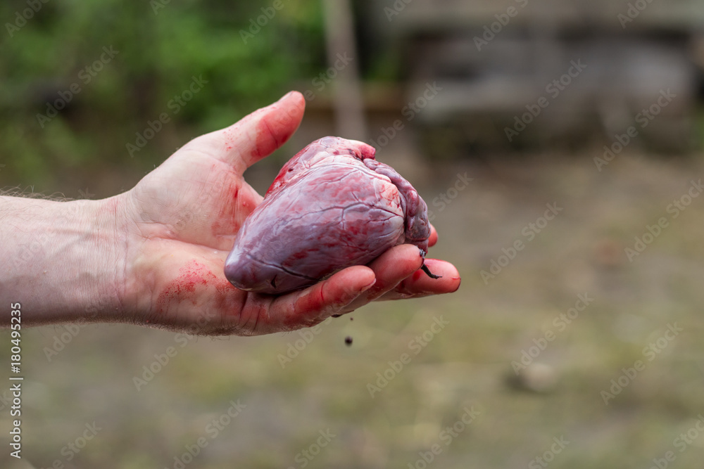 Real Broken Heart Photo