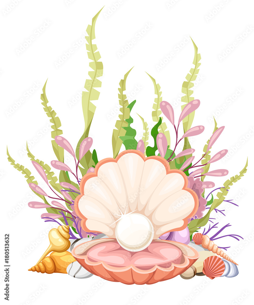 Finest quality beautiful natural open pearl shell close up realistic ...