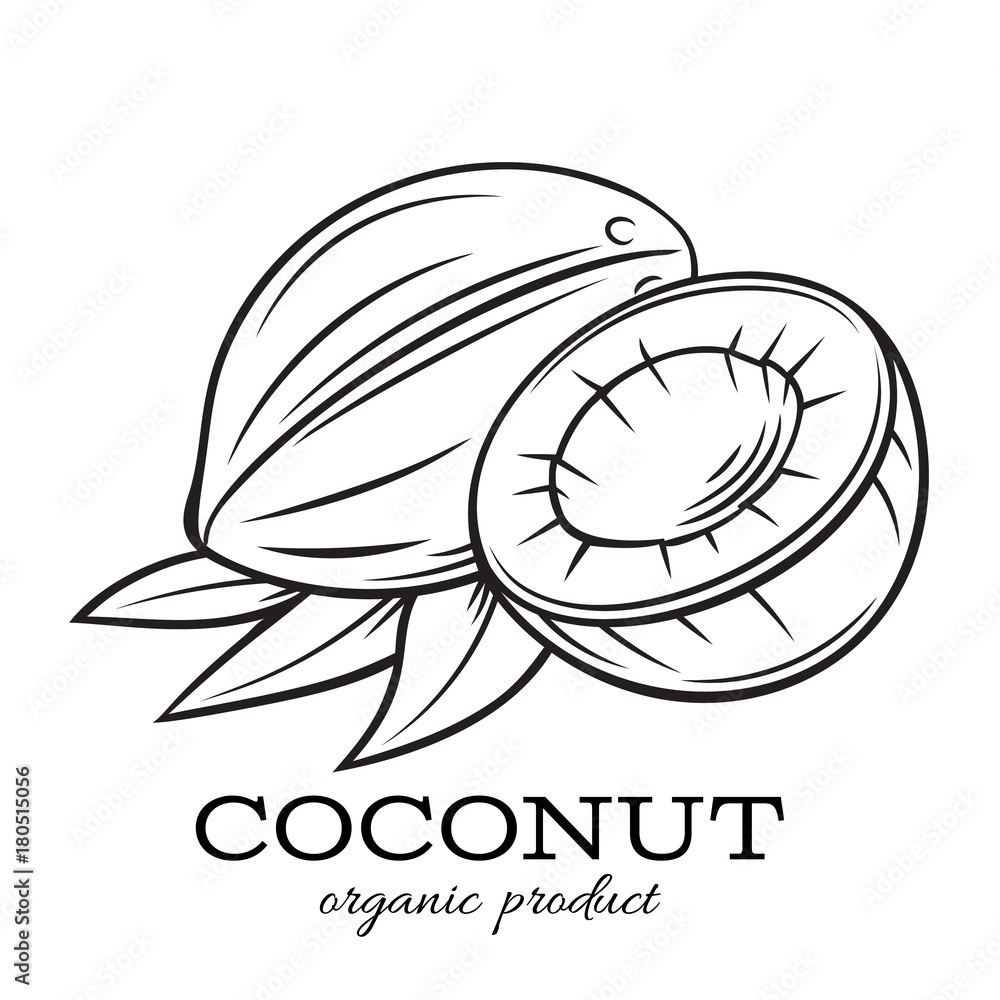 Hand drawn coconut icon. Stock Vector | Adobe Stock
