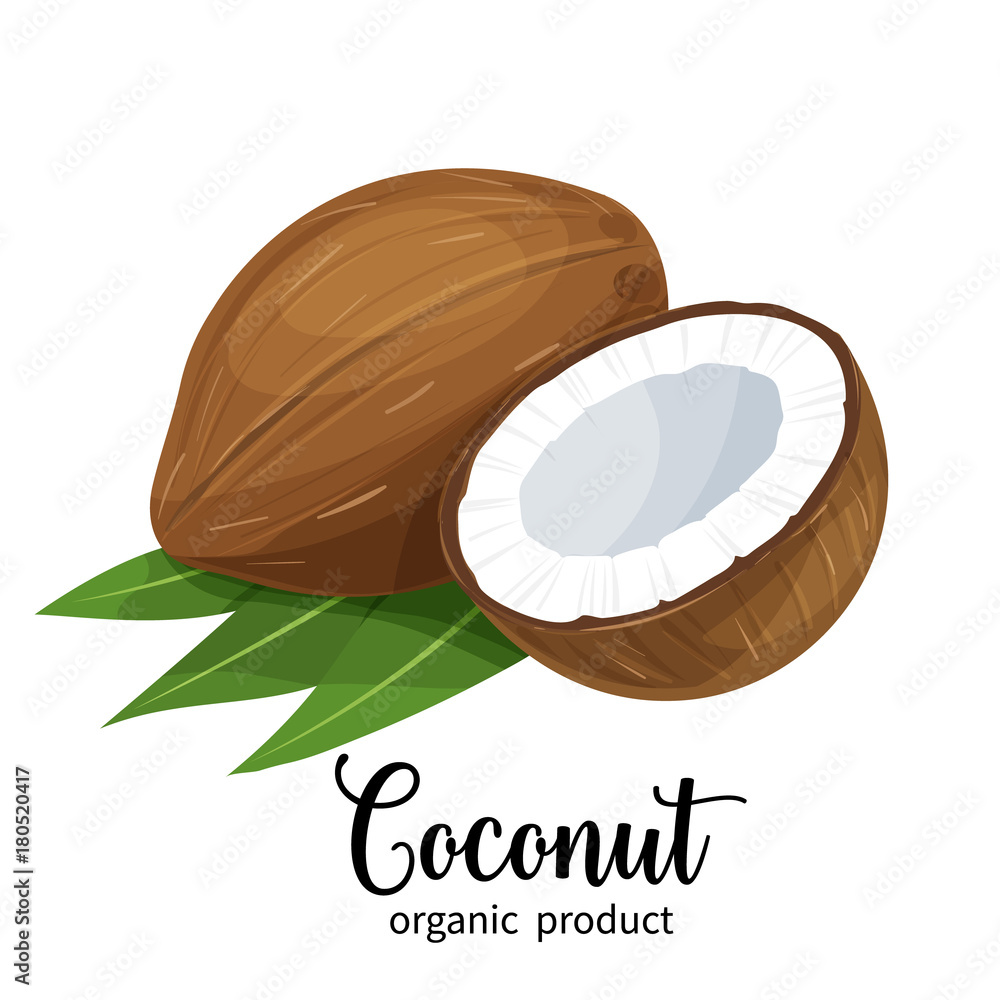 coconut in cartoon style Stock Vector | Adobe Stock