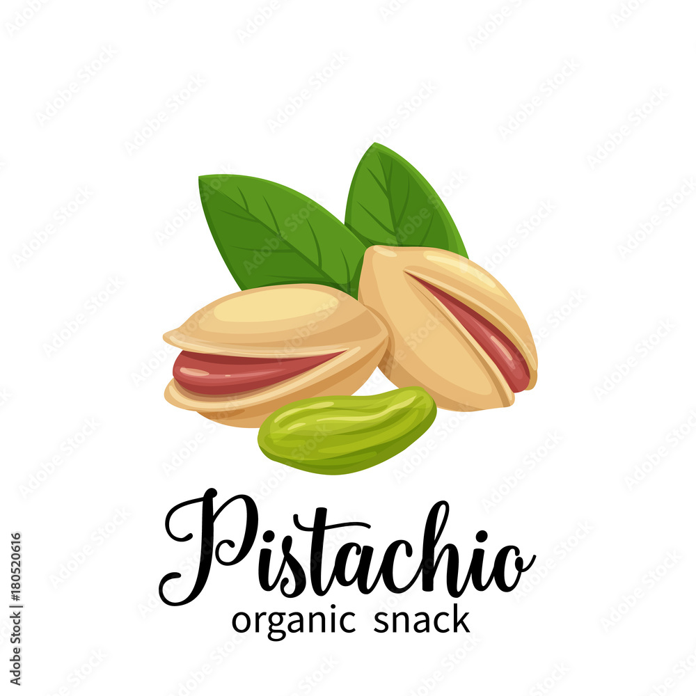 pistachio in cartoon style Stock Vector | Adobe Stock