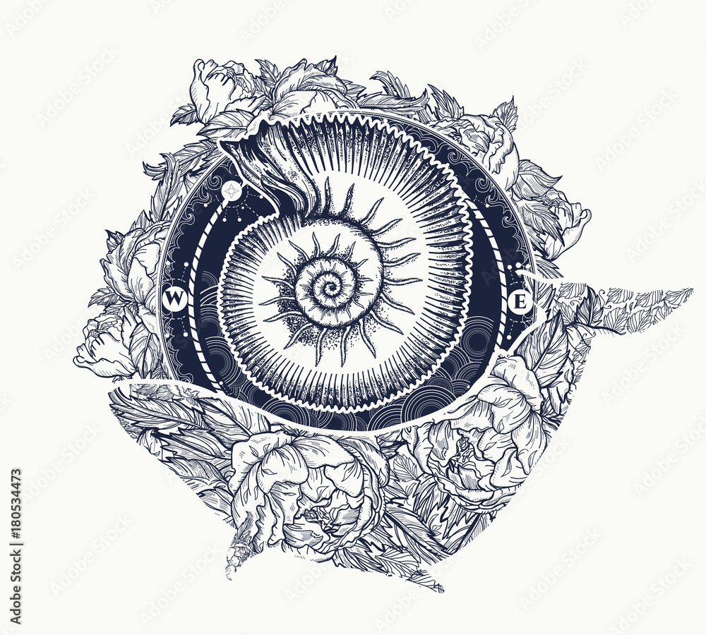 Ammonite Tattoo Designs