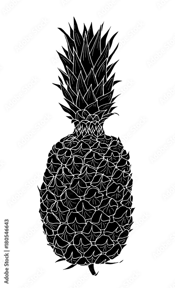 Pineapple Fruit Black And White