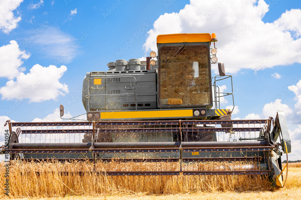 Combine machine is harvesting oats on farm field. combine harvester ...