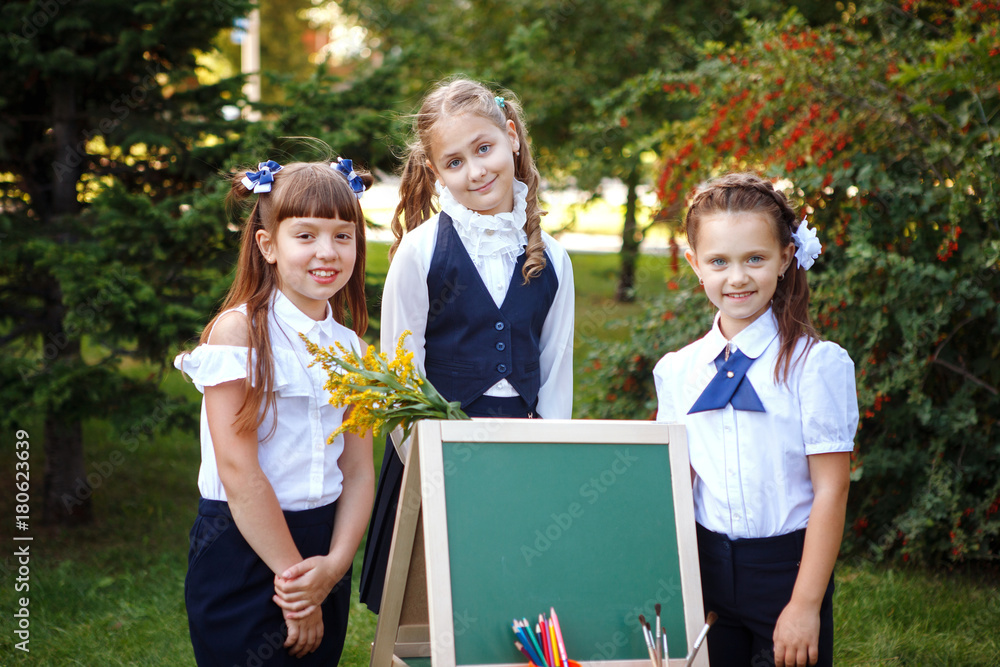 Beautiful girls, school girls in shape in the Park with books in hand ...