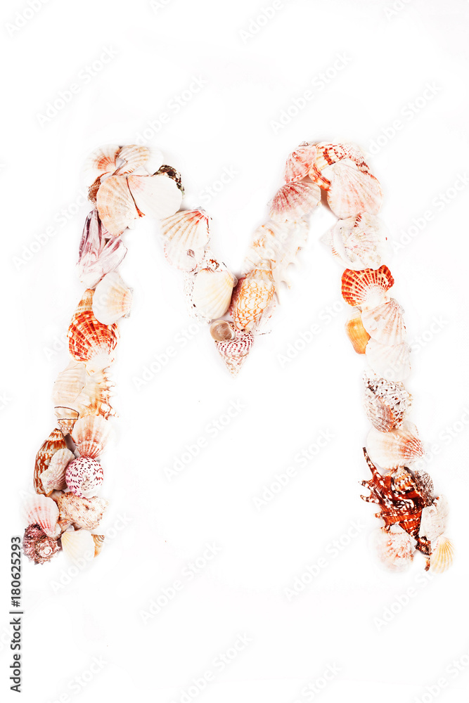 The font of seashells isolated on a white background holidays vacation ...