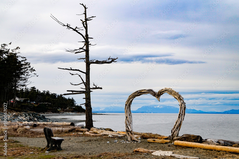 Kin Beach Provincial Park, Comox Valley~Vancouver Island, BC, Canada ...