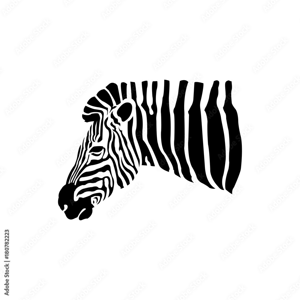 Vector of an Zebra head on a white background. Wild Animals. Stock ...