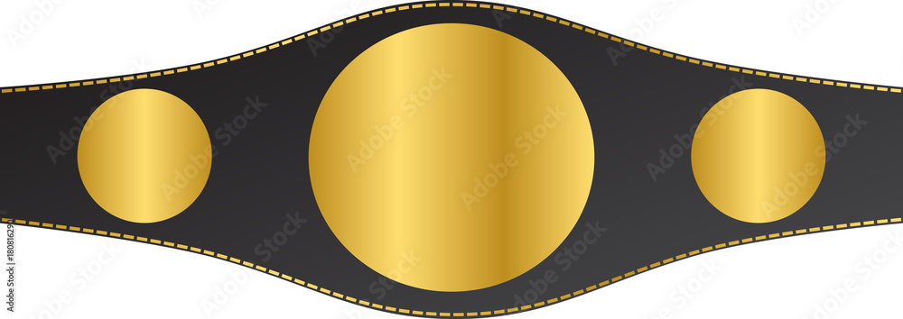 Pattern belt world champion martial arts vector isolated Stock Vector ...