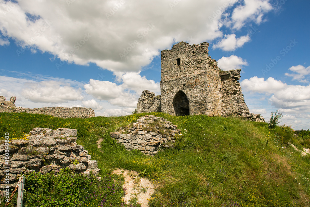 Famous Ukrainian landmark: scenic summer view of the ruins of ancient ...