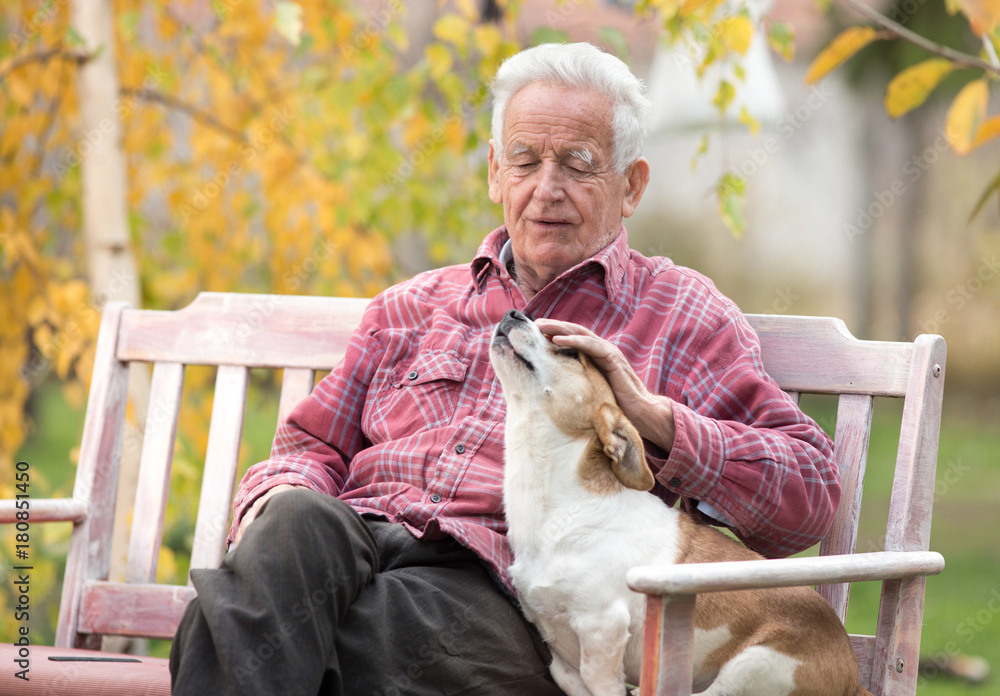 Old man with dog on bench in park Stock Photo | Adobe Stock