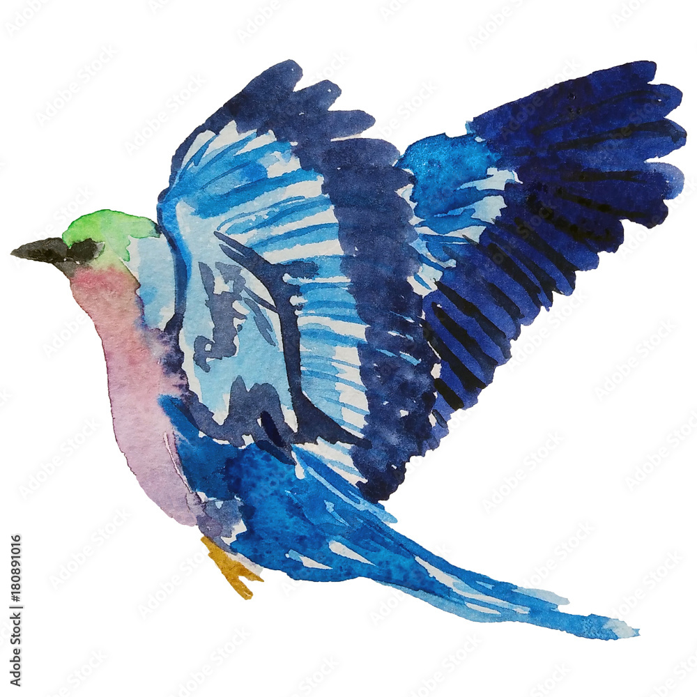 watercolor blue bird isolated Stock Illustration | Adobe Stock