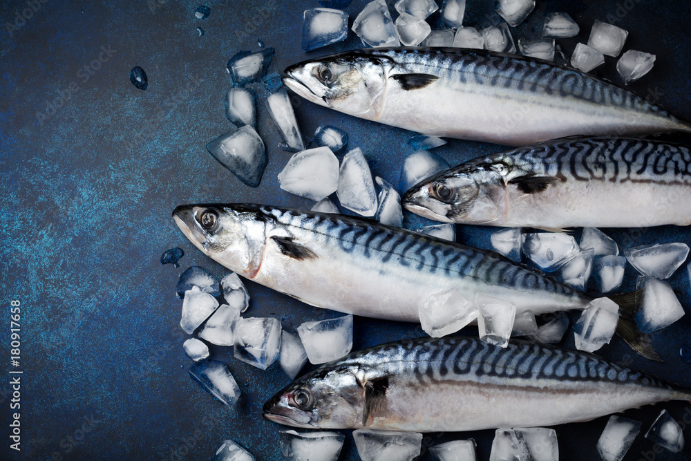 Raw mackerel fish with ingredients for cooking on a blue concrete or ...