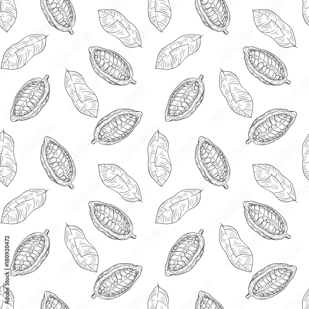 Seamless pattern with cocoa beans in retro vintage hand drawn, sketches ...