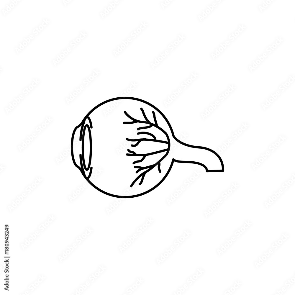 Eyeball Side View Icon