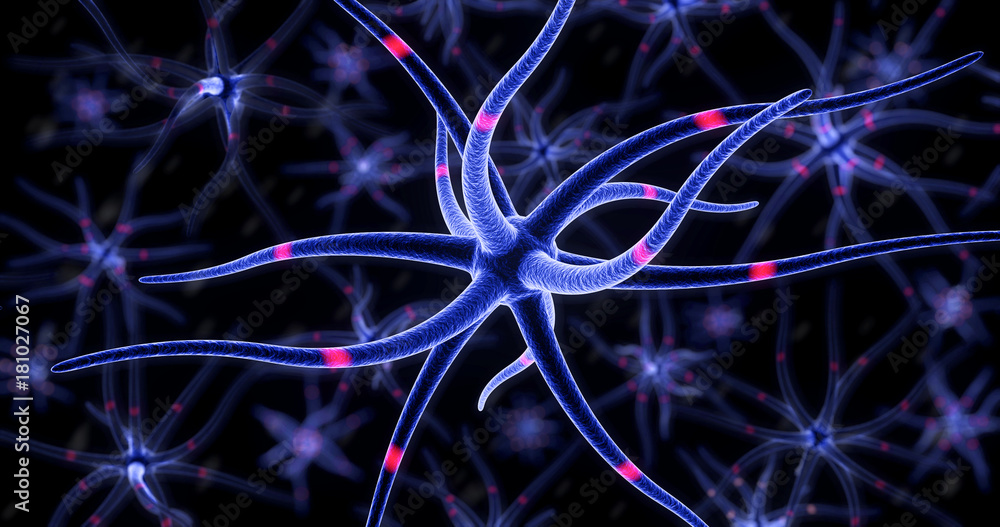 Gehirnzellen Neuronen Stock Photo | Adobe Stock