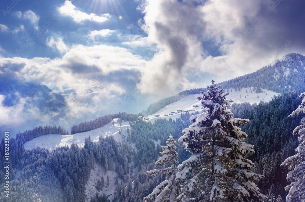 Tannen mit Schnee vor Berglandschaft im Winter Montafon Stock Photo ...