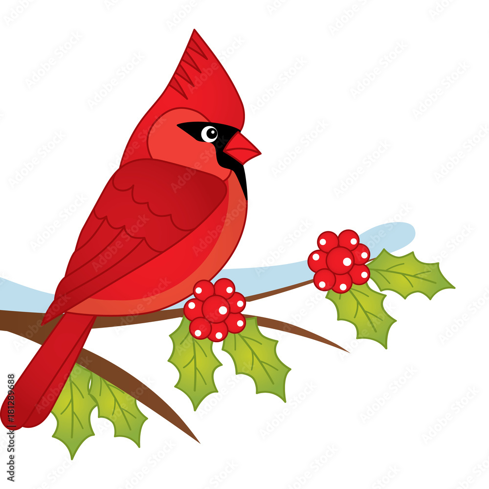 Vector Cartoon Cardinal Sitting on Holly Tree Branch Stock Vector ...
