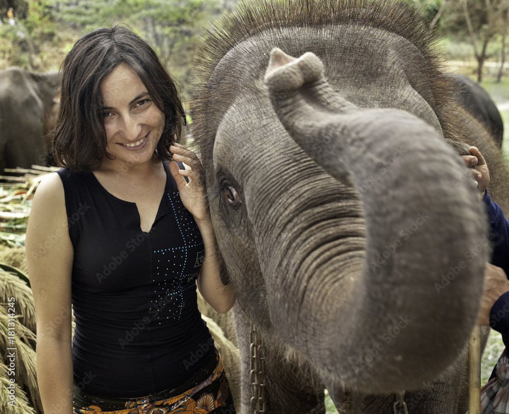 Woman and ELephants Stock Photo | Adobe Stock