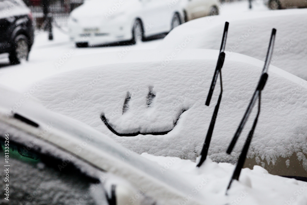 Funny Snow Car