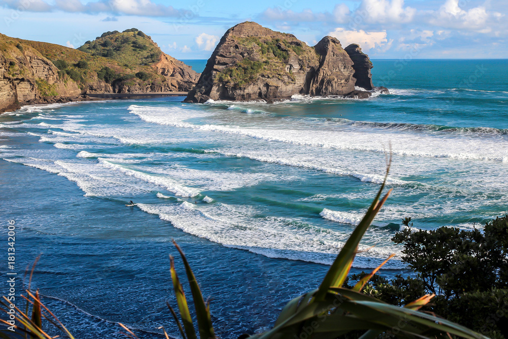 Piha Beach in New Zealand Stock Photo | Adobe Stock