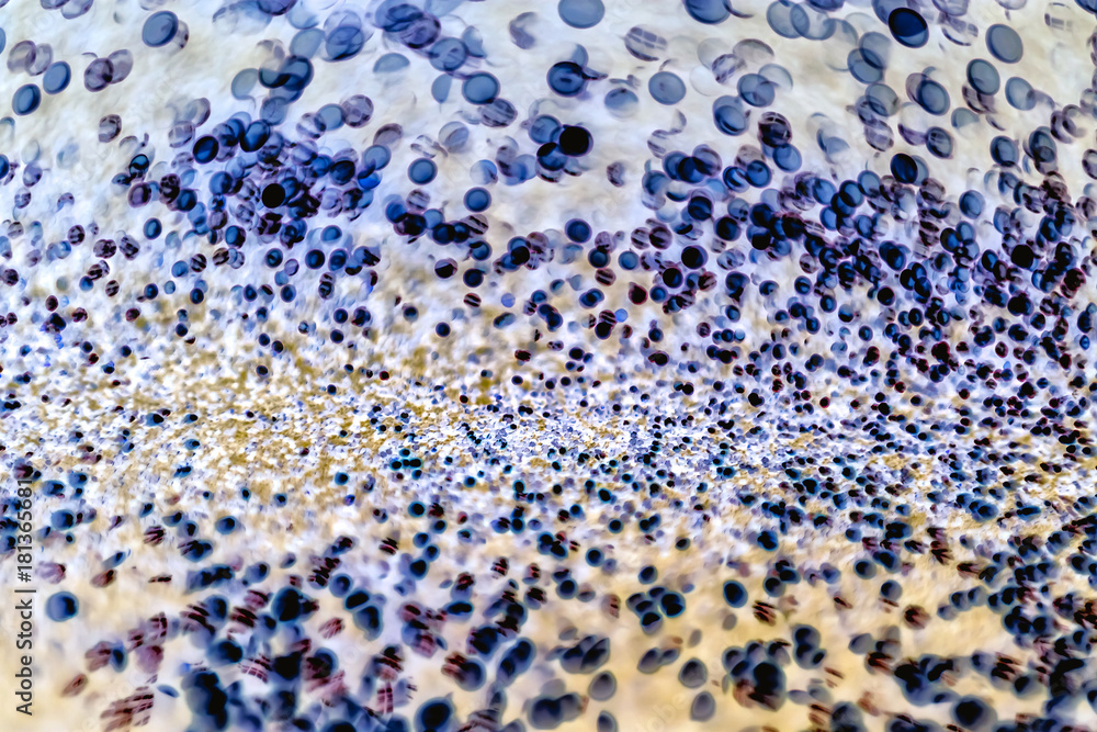 bacteria under the microscope background Stock Photo | Adobe Stock