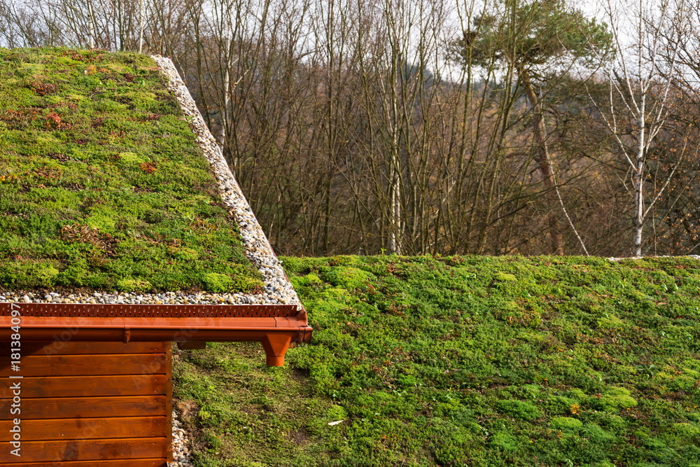 Green ecological sod roof on wooden building covered with vegetation ...