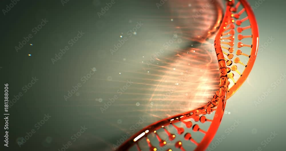 dna strand structure seamless loopable animation 4k UHD Stock Video ...
