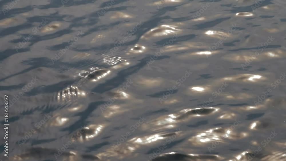 water ripples on lake - natural motion background Stock Video | Adobe Stock