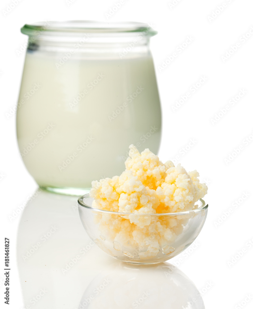 Milk kefir grains. milk kefir, or búlgaros, is a fermented milk drink ...