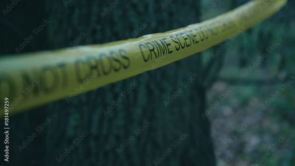 Crime scene tape in creepy dark forest, homicide site, murder ...
