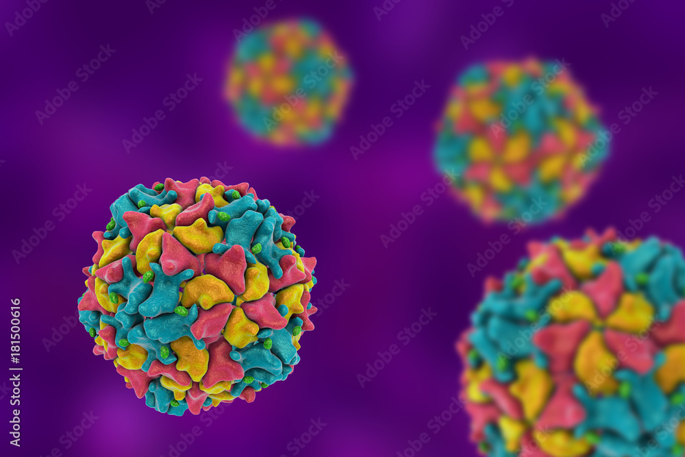 Poliovirus 3d Model